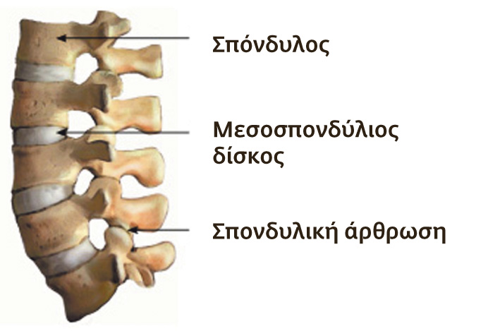 Πόνοι στην οσφυϊκή μοίρα της σπονδυλικής στήλης - AthensTrainers®