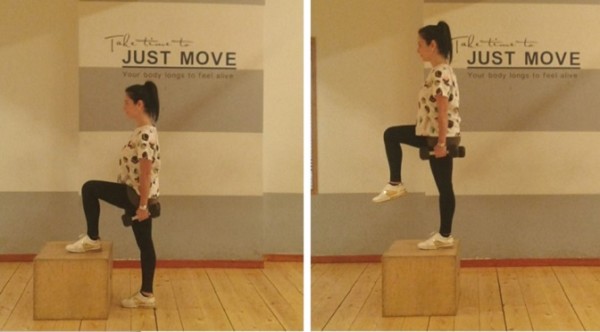 Step up to box - AthensTrainers®