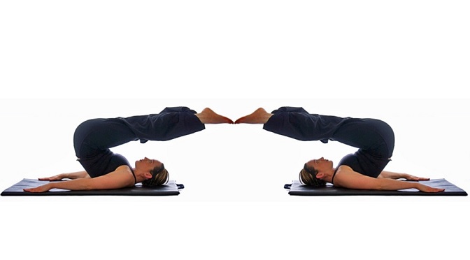 Keep your mind on Pilates. Keep your body toned…and try roll over with ...