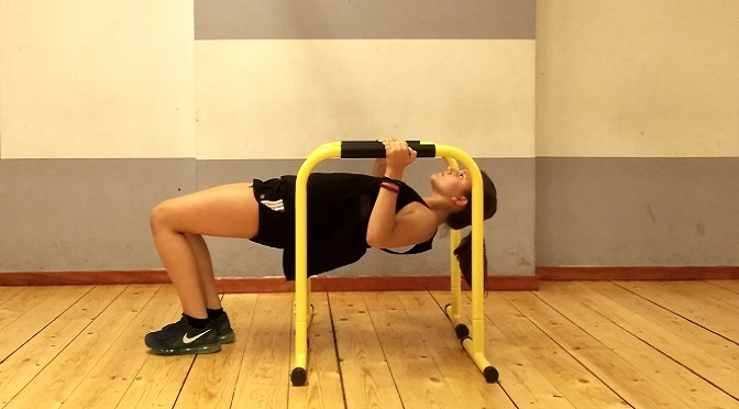 Equalizer: vertical rows - AthensTrainers®